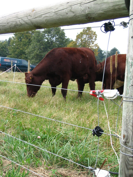 Electric Fence Jumper Lead with HD Clamps – Gallagher Fence